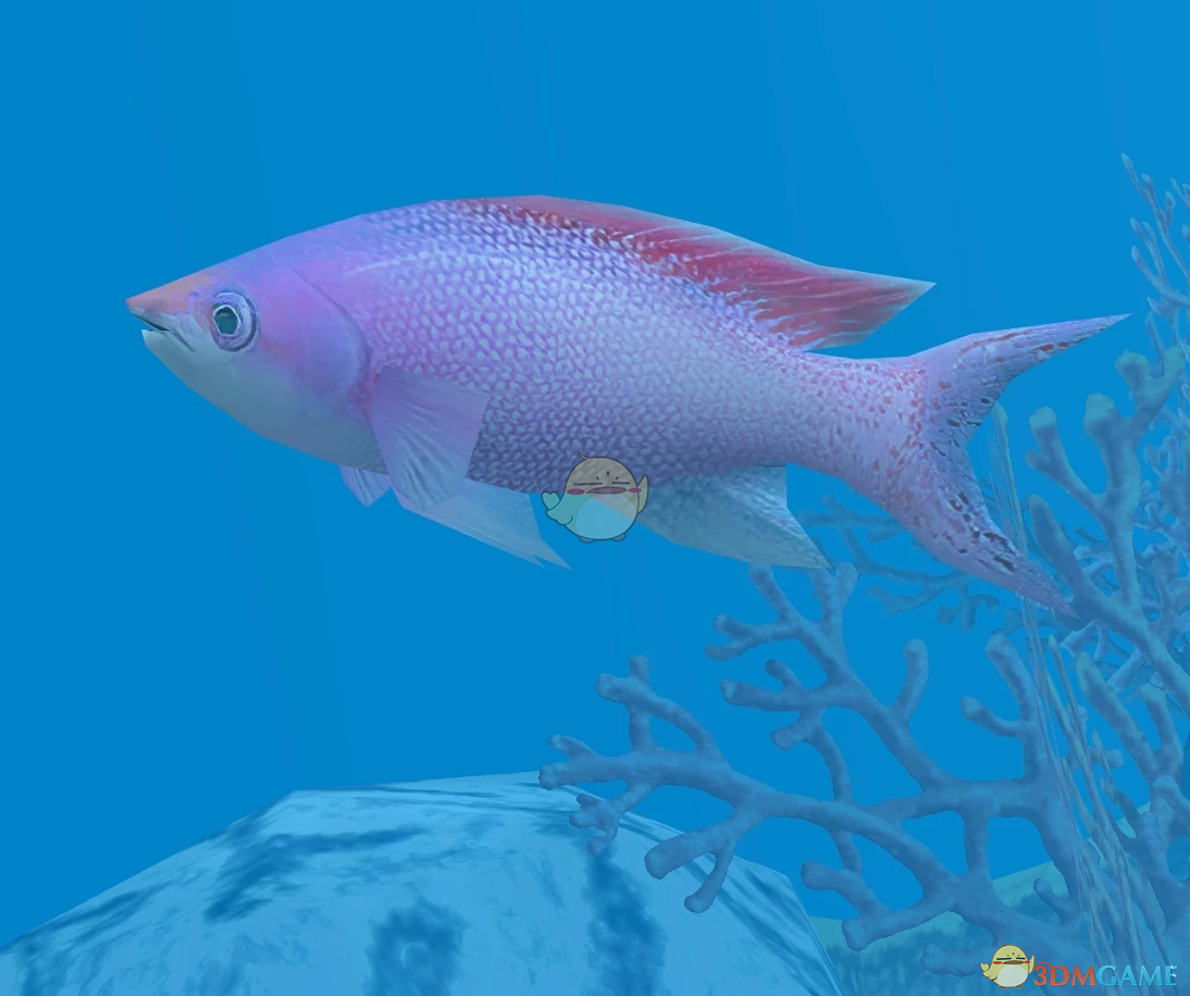 动物园大亨2静拟花鮨mod下载-鱼mod下载_3DM单机