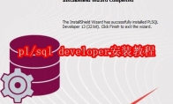 pl/sql developer安装教程-pl/sql developer安装步骤介绍_3DM软件